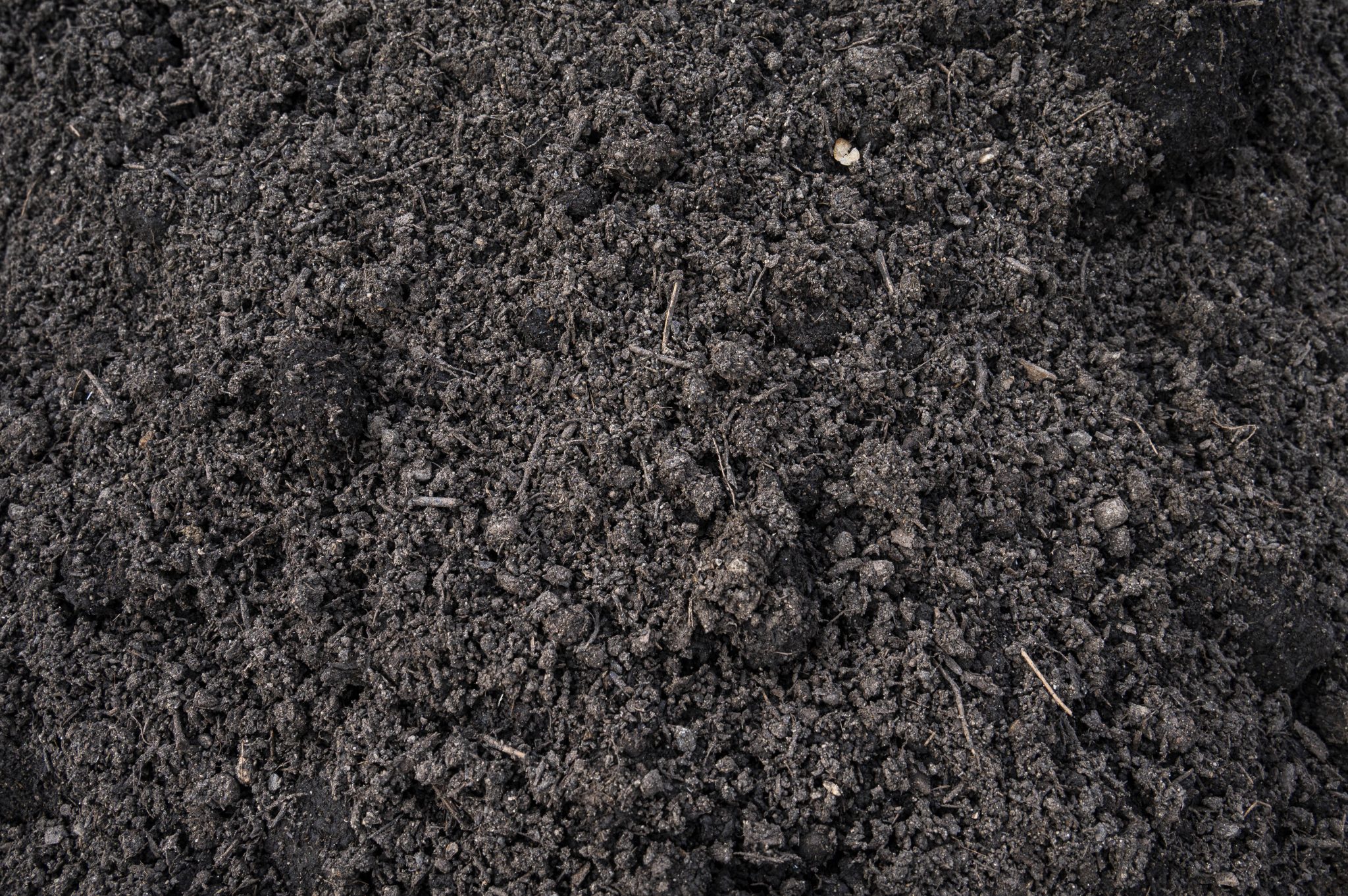 Baumsubstrat 0/16 mm Vulkatree, rein mineralisch, RAL - Menz ...